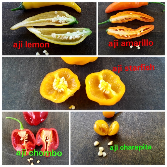 Aji Chombo Recipe | Dandk Organizer