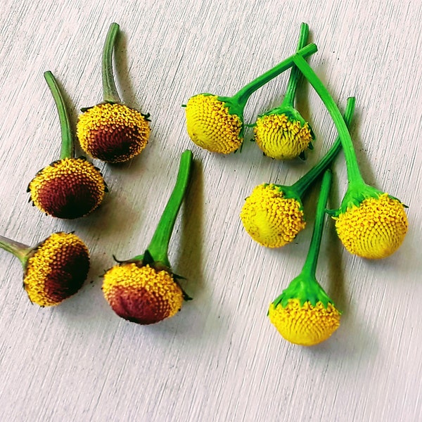 Button Flowers - Etsy