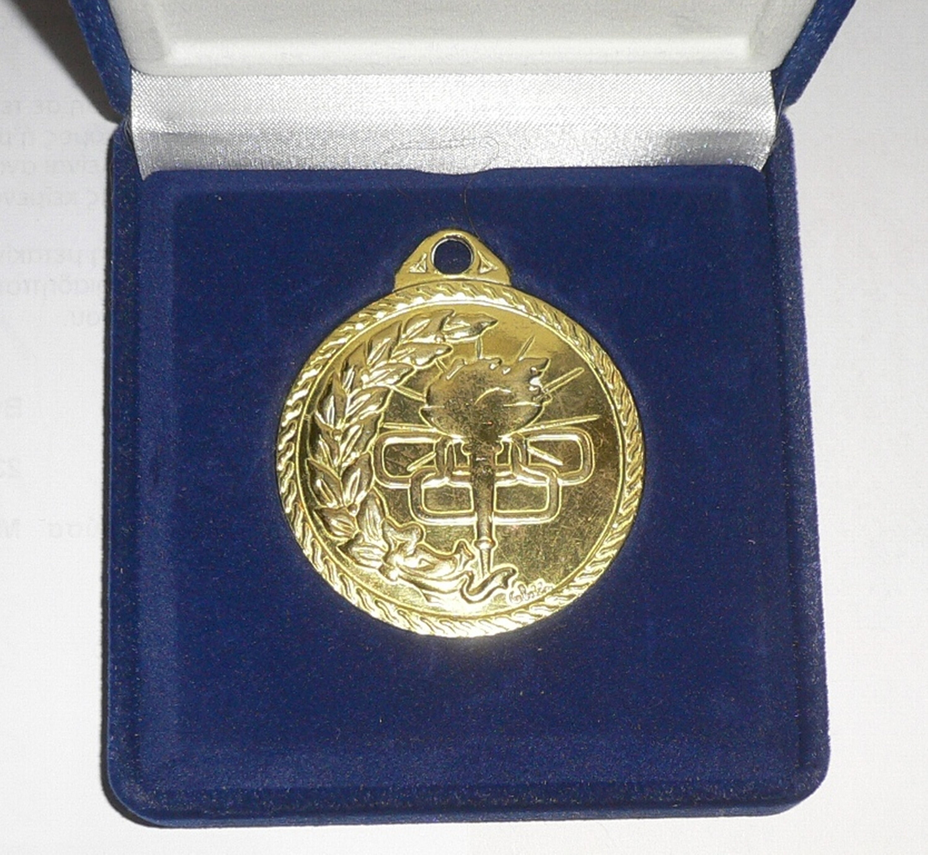 Olympic Games Vintage Old Medal Plaque With Olympic Torch and Artist ...