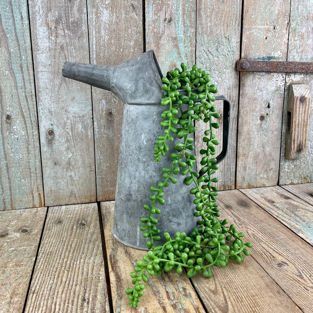 Vintage Oil Can Pitcher Galvanized Oil Can Farmhouse Decor Industrial ...