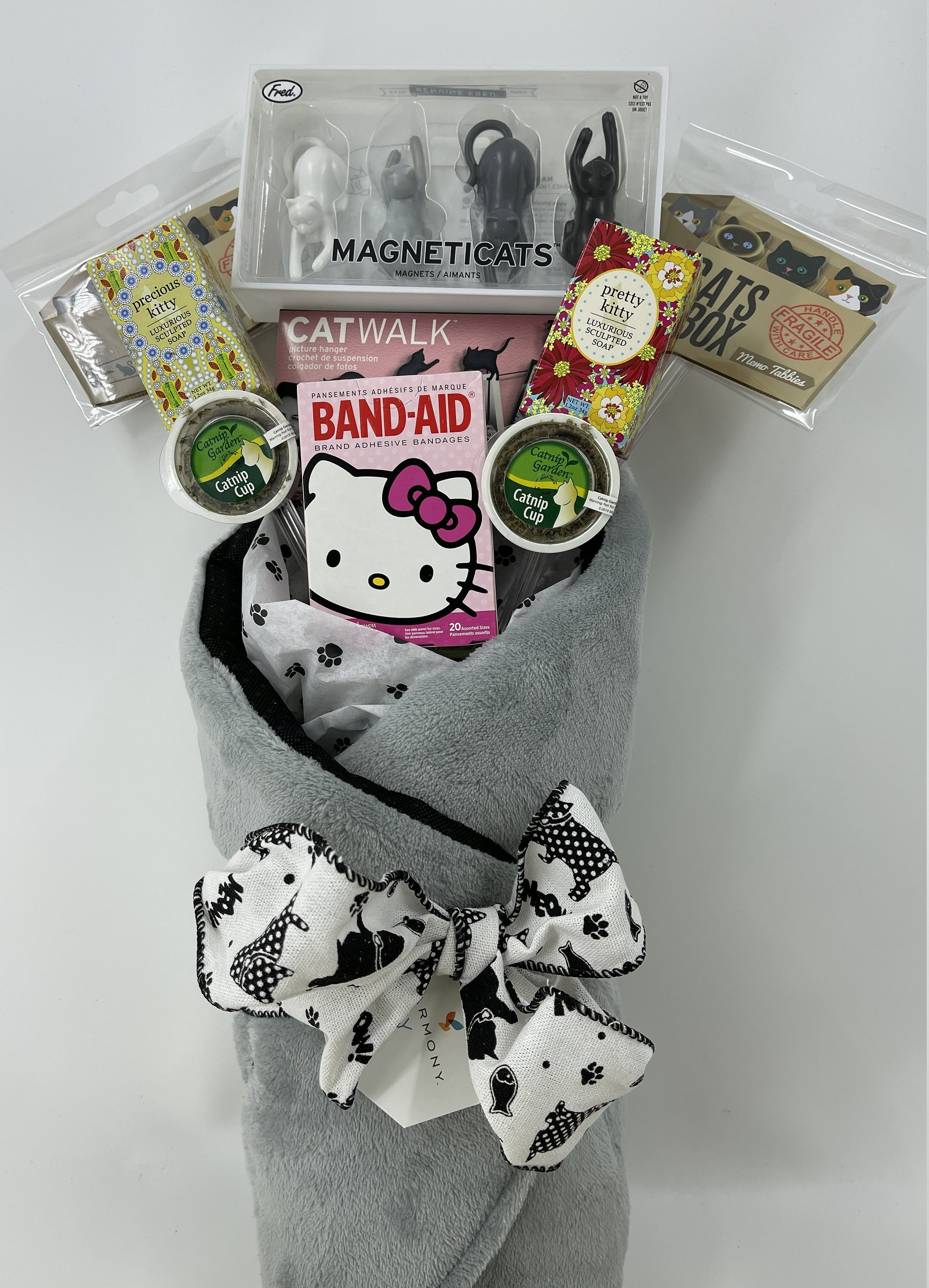 Crazy Cat Lady Starter Kit Envelope