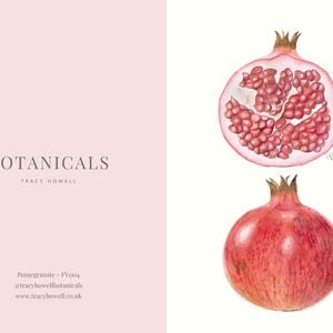 Pomegranate Card. - Etsy