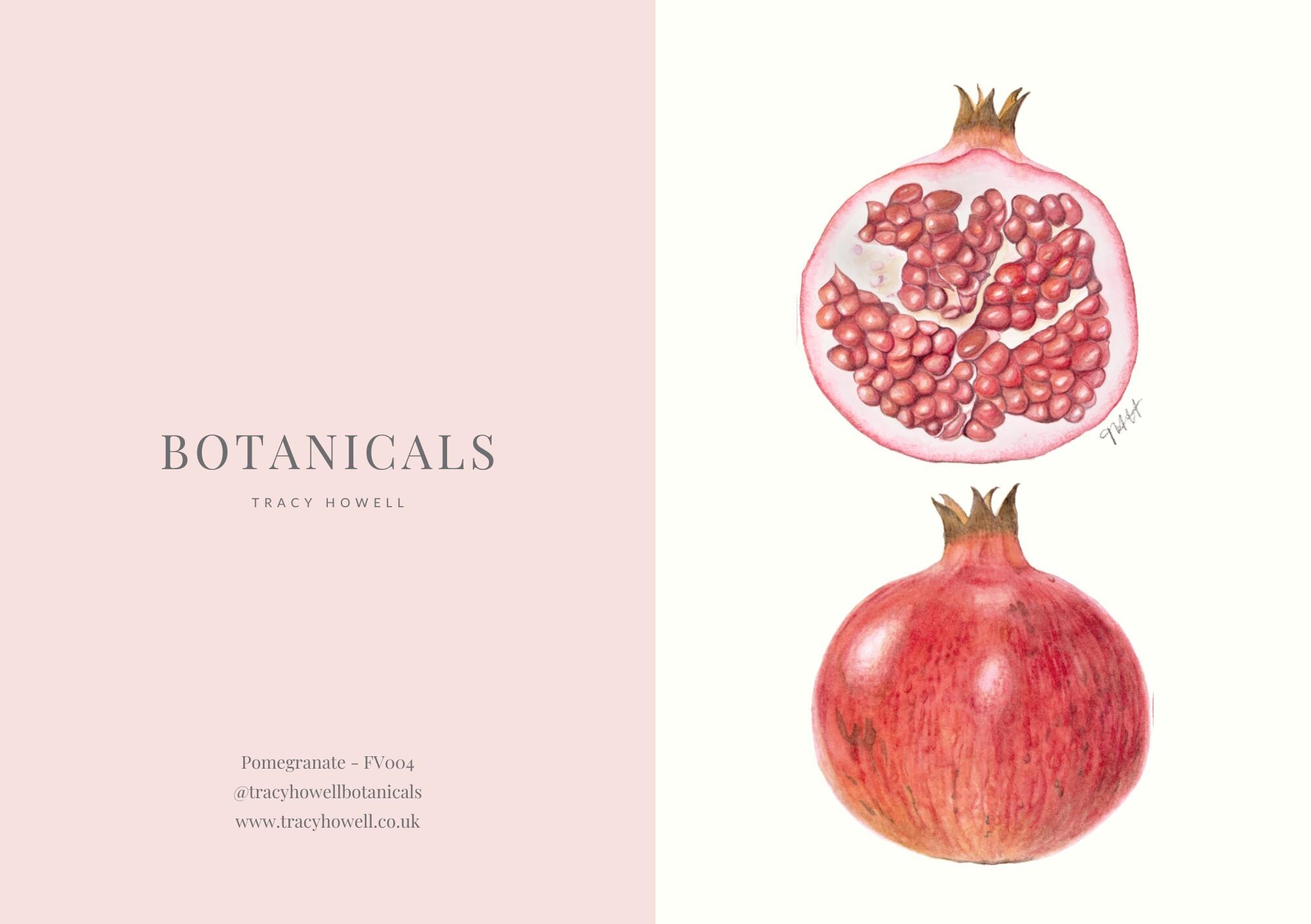 Pomegranate Card. - Etsy UK