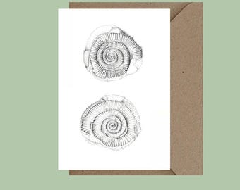 Ammonite Fossil Handprinted Linocut Greeting Card, Happy Birthday Old ...
