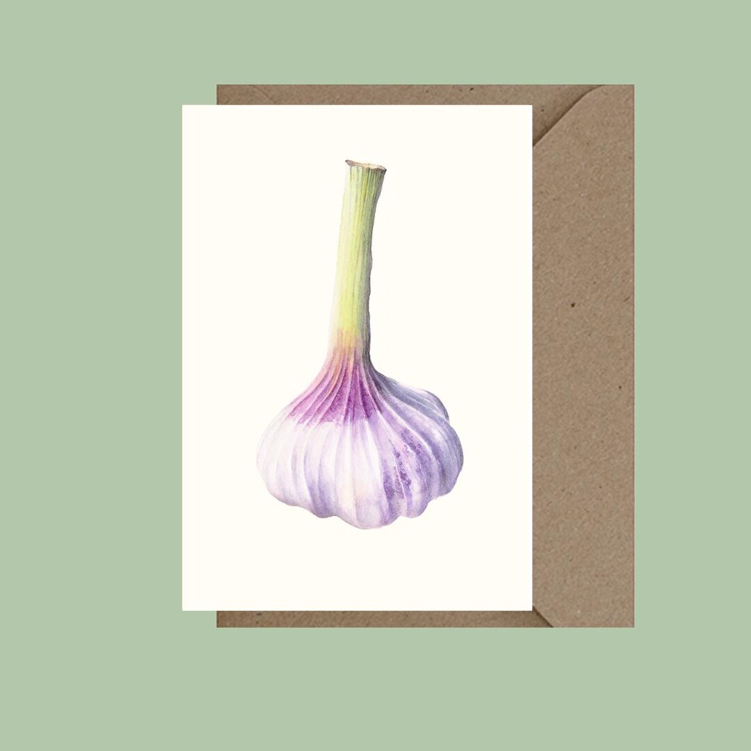 Garlic Card. - Etsy