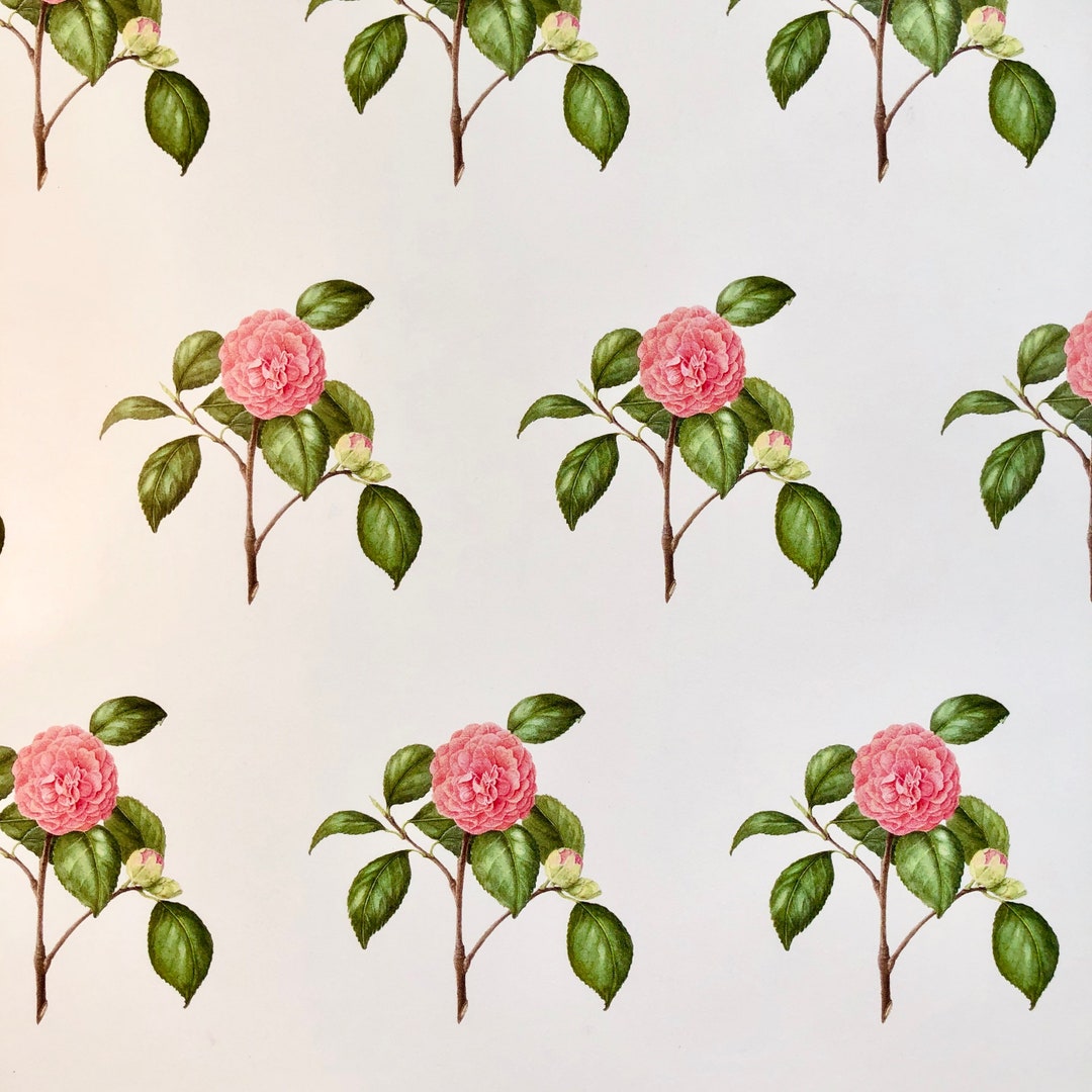 Camellia Wrapping Paper. - Etsy