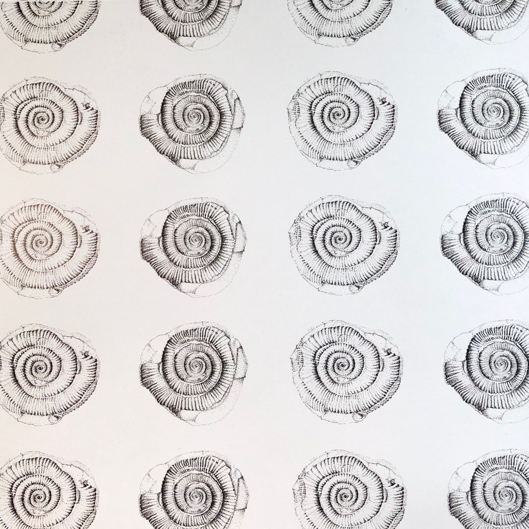 Ammonite Wrapping Paper X3 Sheets - Etsy