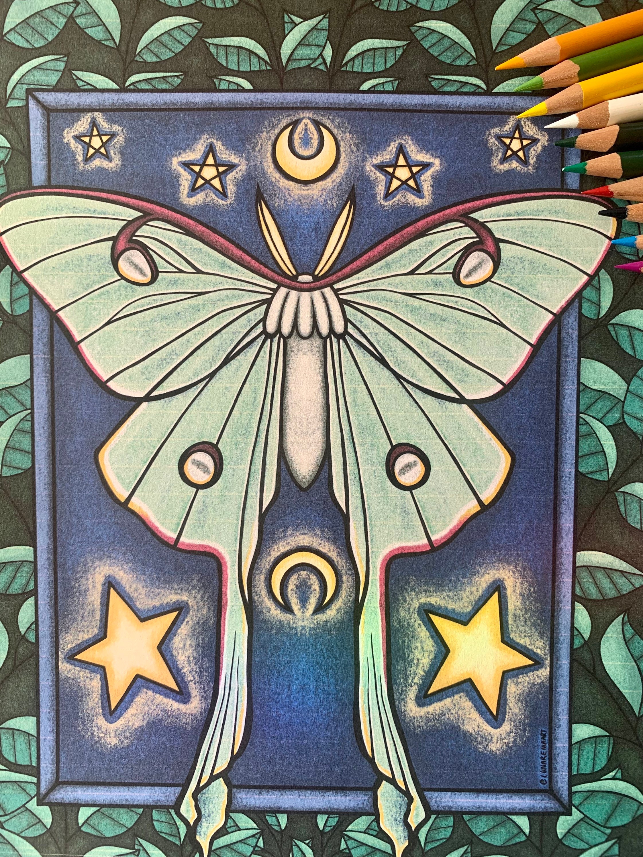 Luna Moth Coloring Page Download - Etsy Australia