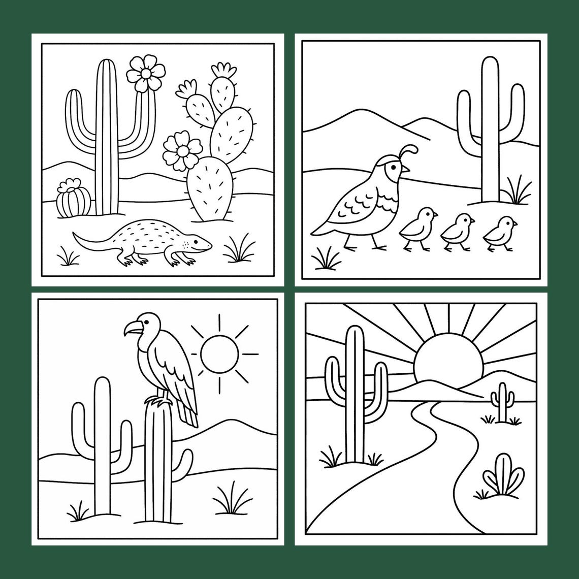 Southwest Coloring Book: Desert Animals, Cactus, Sunsets (digital PDF ...