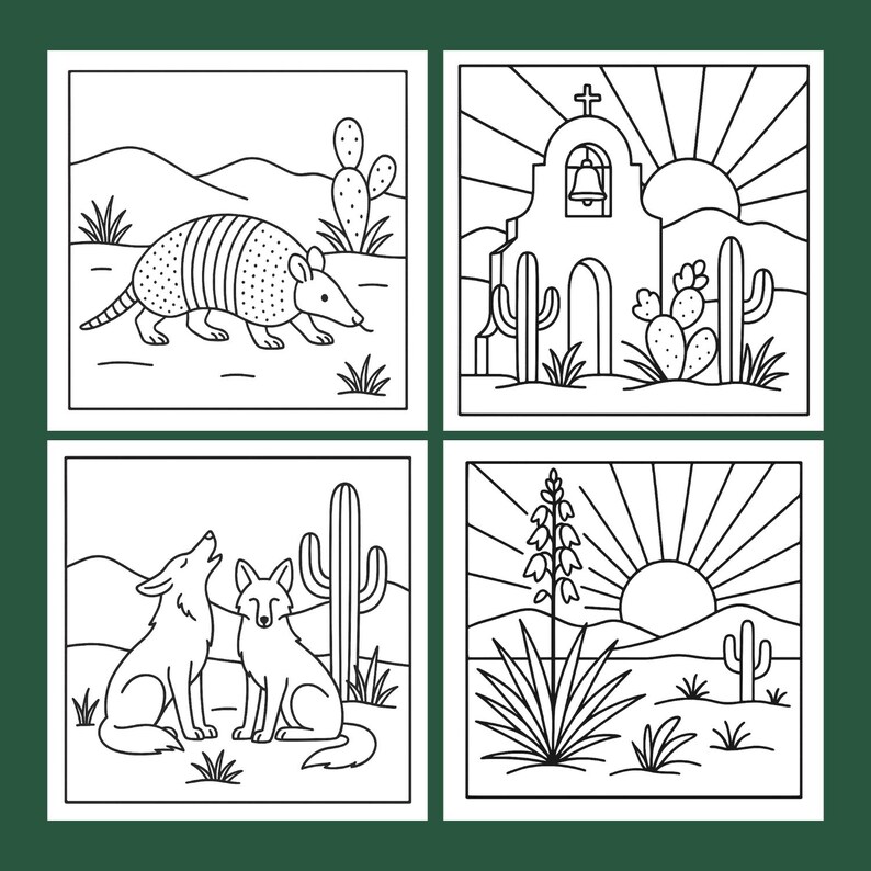 Southwest Coloring Book: Desert Animals, Cactus, Sunsets (digital PDF ...