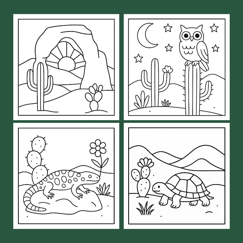 Southwest Coloring Book: Desert Animals, Cactus, Sunsets (digital PDF ...