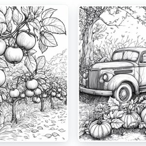32 Beautiful Fall Autumn Coloring Pages | Fall Coloring Pages ...