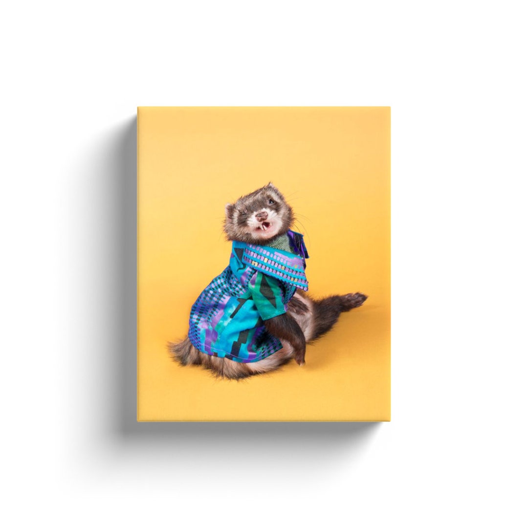 Handsome Hob Ferret Canvas Print, Portraits of Animals Wearing Clothes ...