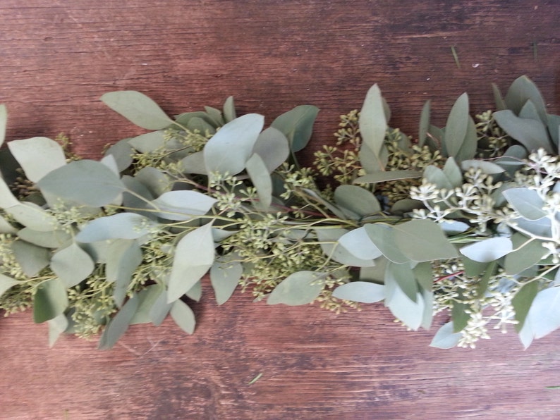 Freshly Harvested Seeded Eucalyptus Garland Seeded - Etsy