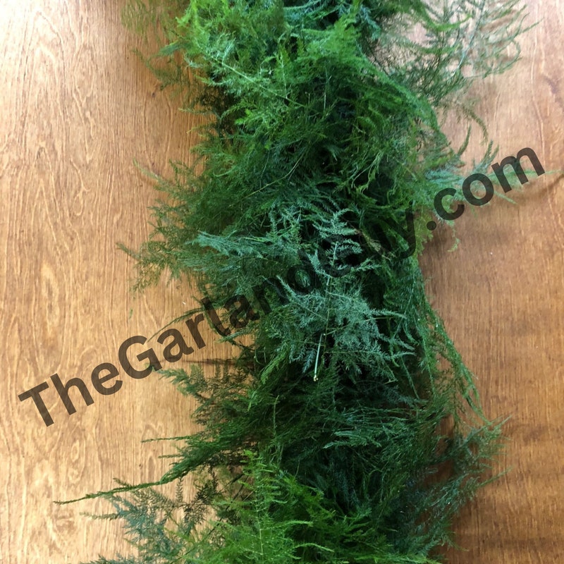 Fern Garland - Etsy