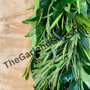Podocarpus, Nagi, Cocculus Garland, Fresh Wedding Garland, Real ...