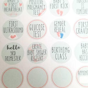 Pregnancy Milestones Planner Stickers HS15 Gift for Her - Etsy