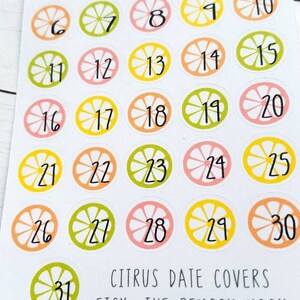 Citrus Planner Stickers, Date Covers (set of 31) - Etsy