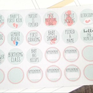 Pregnancy Milestones Planner Stickers HS15 Gift for Her - Etsy