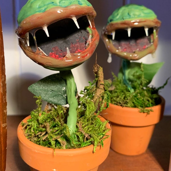 Venus Fly Trap - Etsy