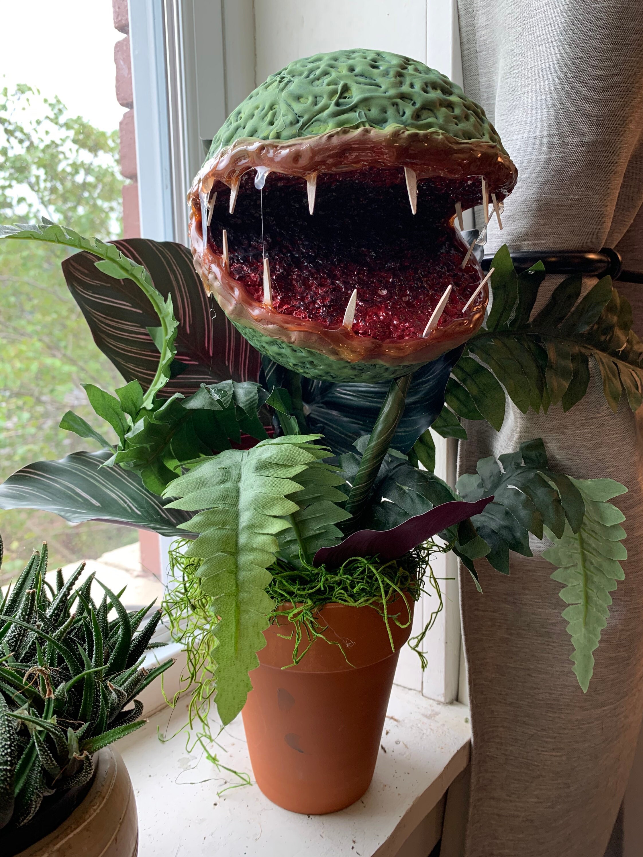 Angry Chomp Plant Monster Carnivorous Plant | Etsy