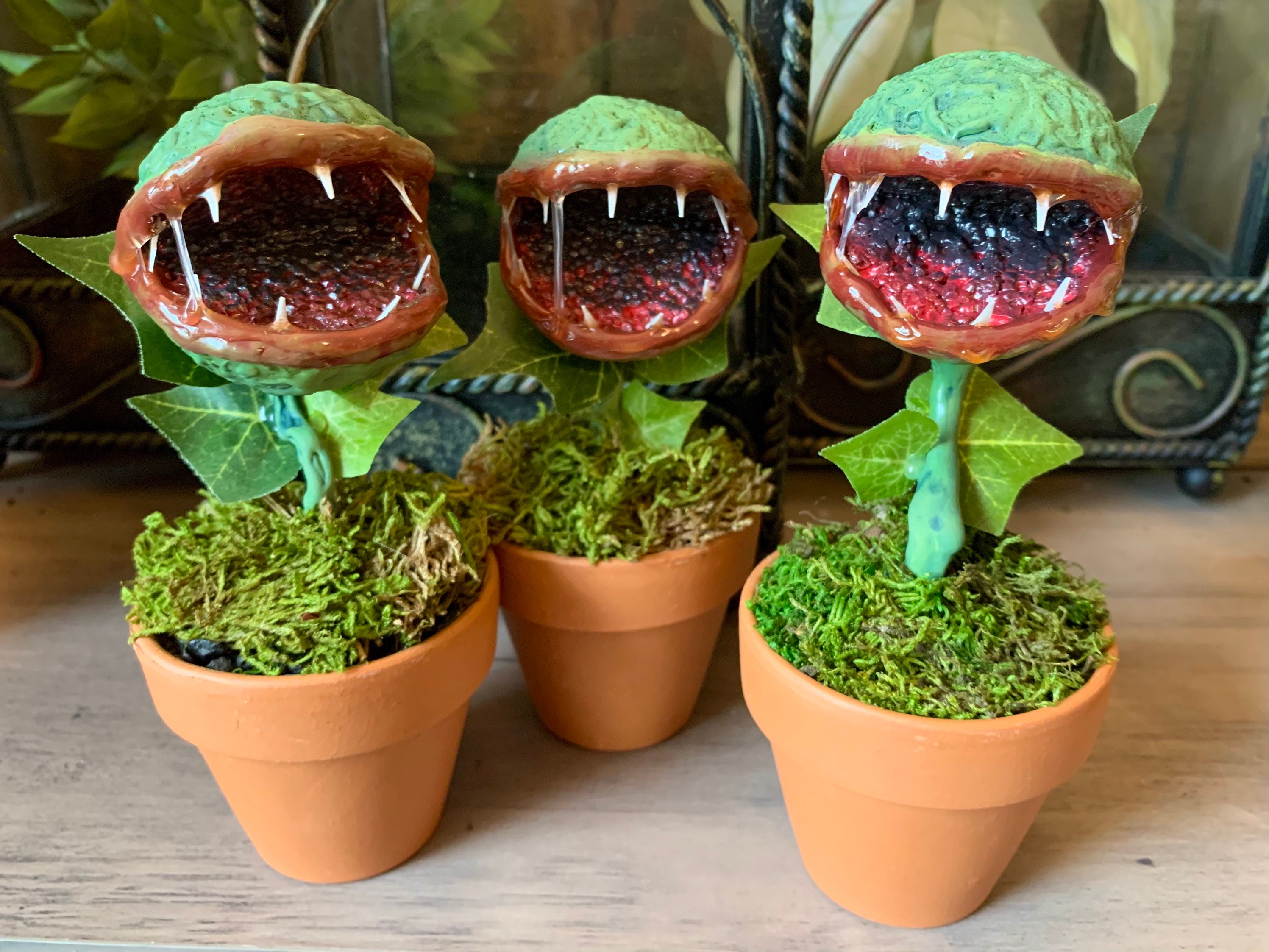 Angry Chomp Plant Monster Carnivorous Plant - Etsy UK