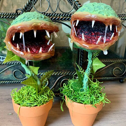 Angry Chomp Plant Monster Carnivorous Plant - Etsy
