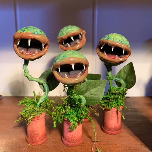Venus Fly Trap - Etsy