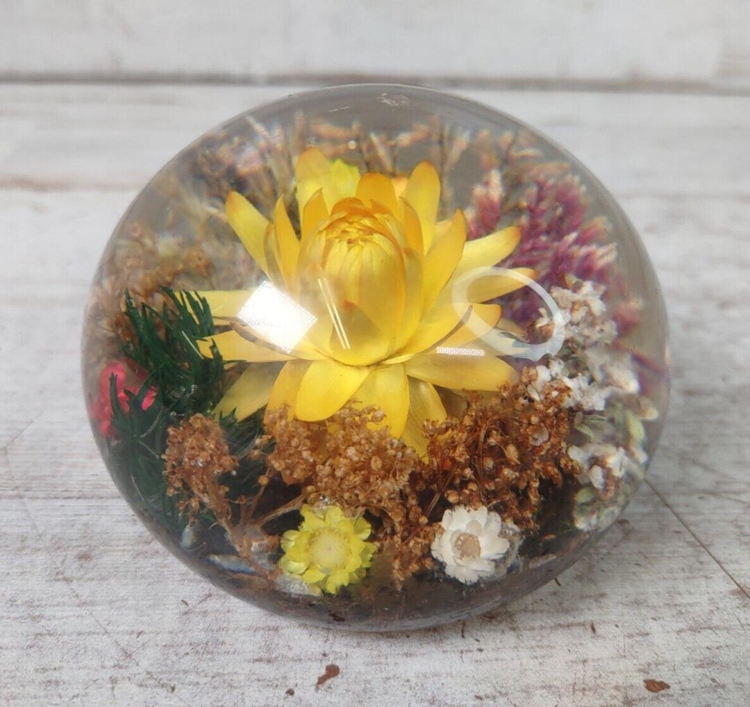Vintage MCM Tarax Infinity Dried Flower Lucite Plastic Paperweight ...