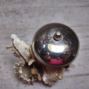 Vintage Conch Shell Cherubim Angel Hotel Reception Desk Bell Kitschy ...