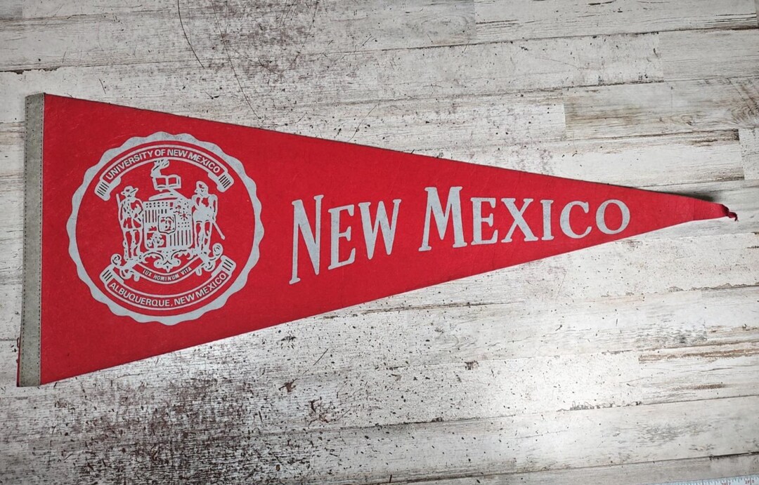 Vintage University of New Mexico Logo Albuquerque Felt Pennant Flag Red ...