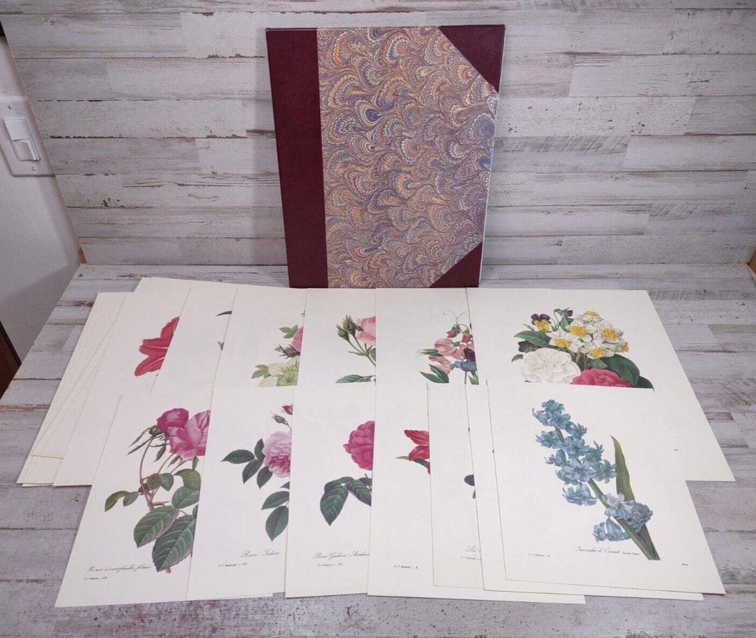 28 Vintage Pierre Joseph PJ Redoute Langlois Victor Botanical Art ...