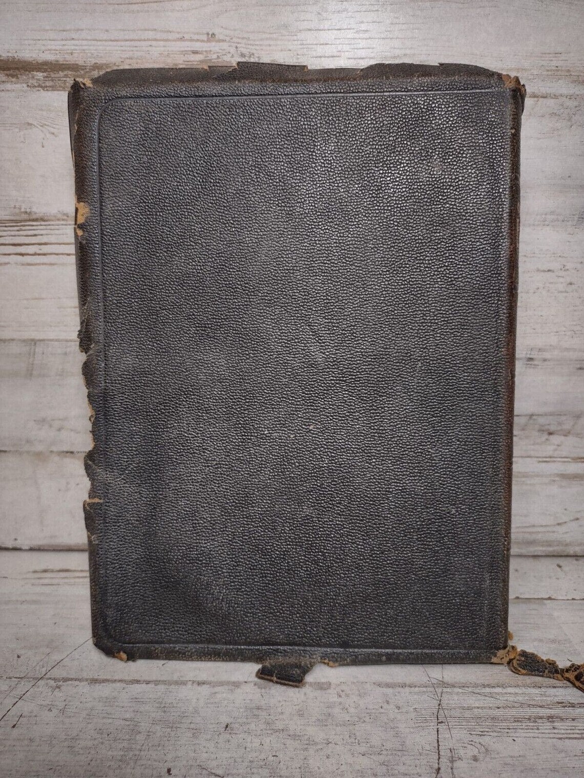 The New Chain Reference Bible Thomas Third Improved Edition Morocco ...