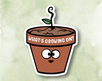 Holographic Waterproof Sticker Plant Pot - Etsy