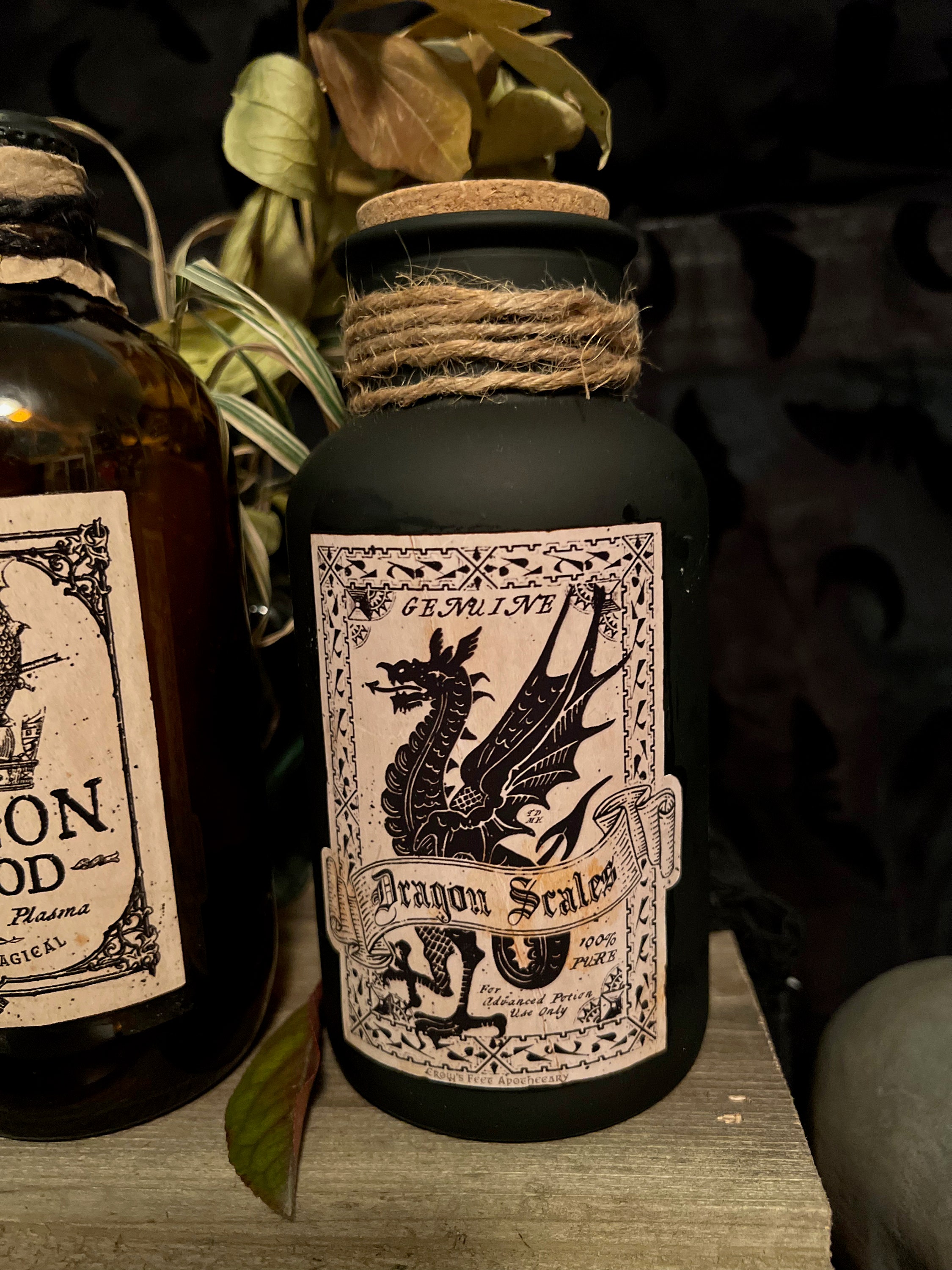 Vintage Look Potion Labels 76 Dragons & Friends Printable - Etsy Australia