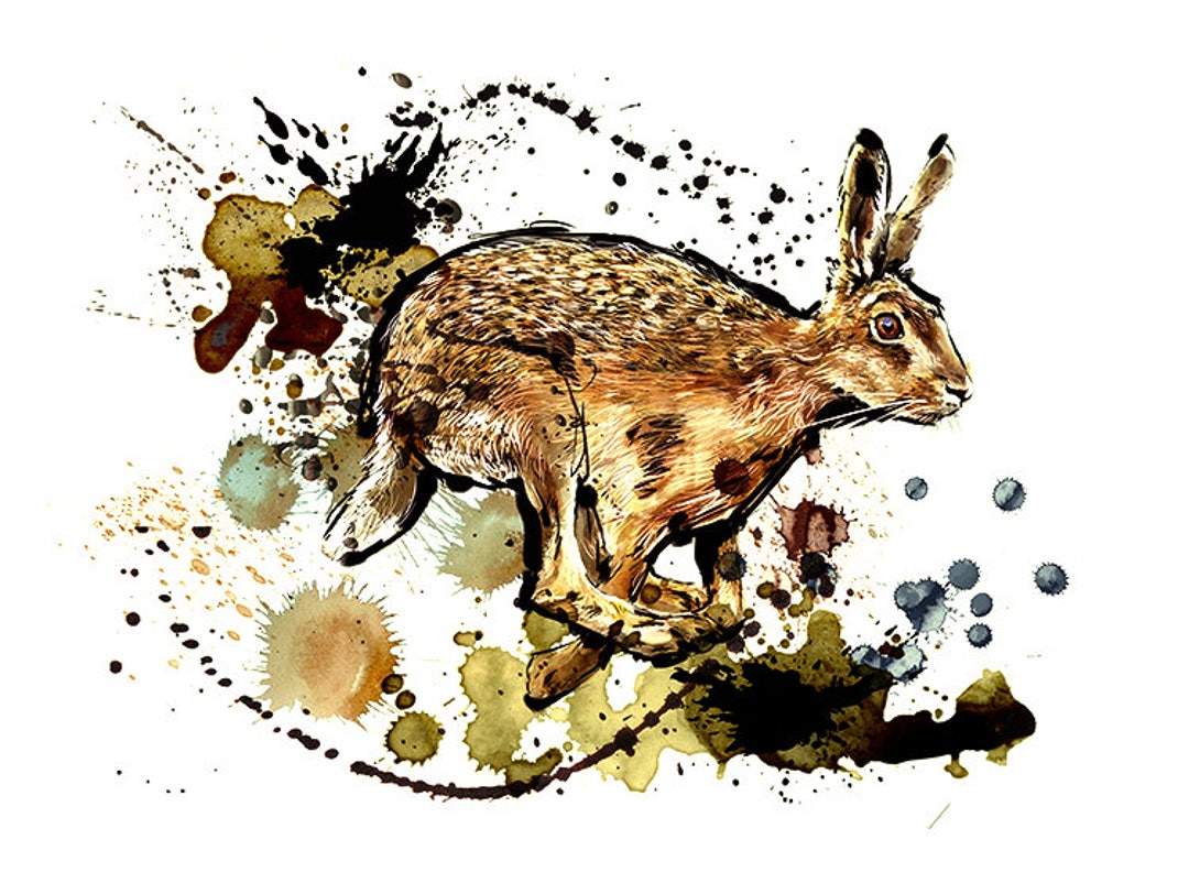 Limited Edition Print of the Country Hare by Trixie - Etsy