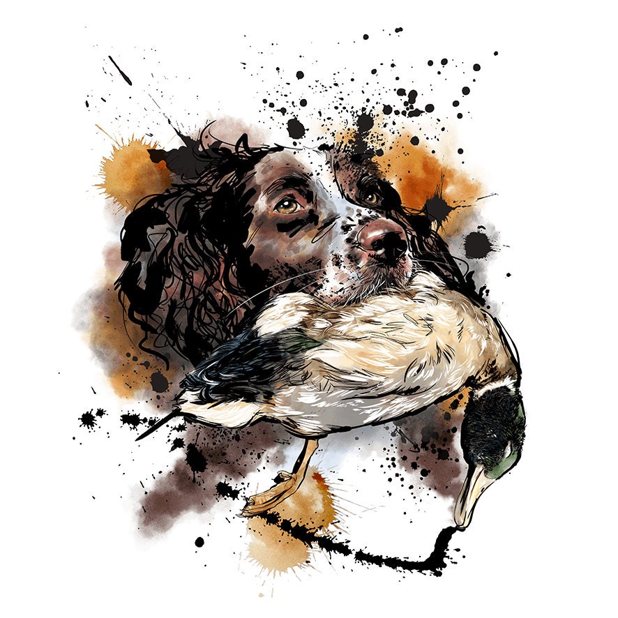 Limited Edition Print of Springer Spaniel and Duck by Trixie - Etsy