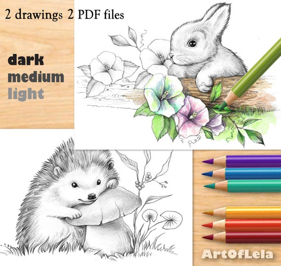 2 Coloring Pages to Download Printable Adult Coloring Pages - Etsy