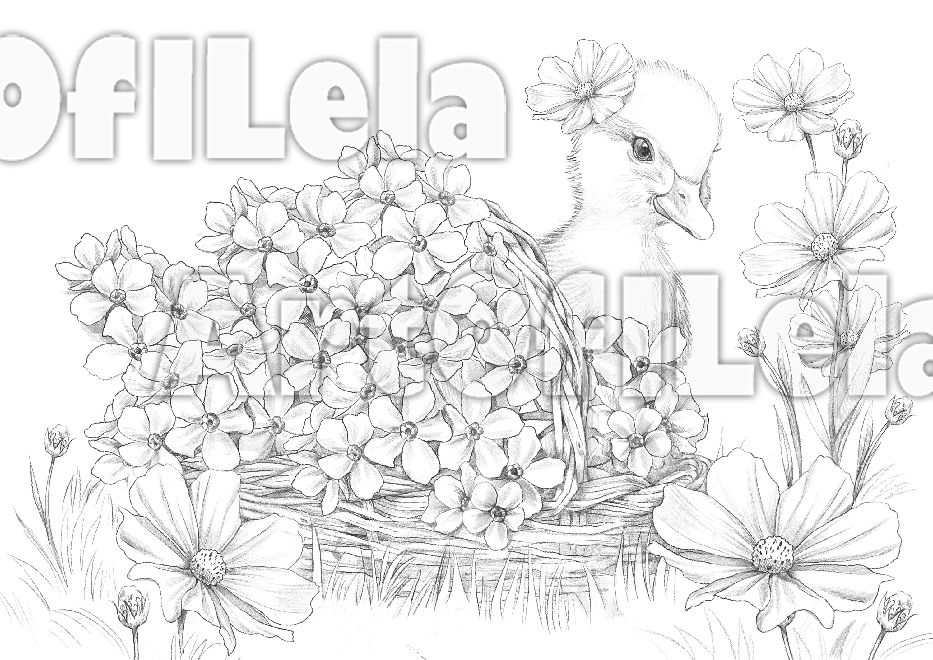 Collection Coloring Page to Download, Printable Adult Coloring Pages ...