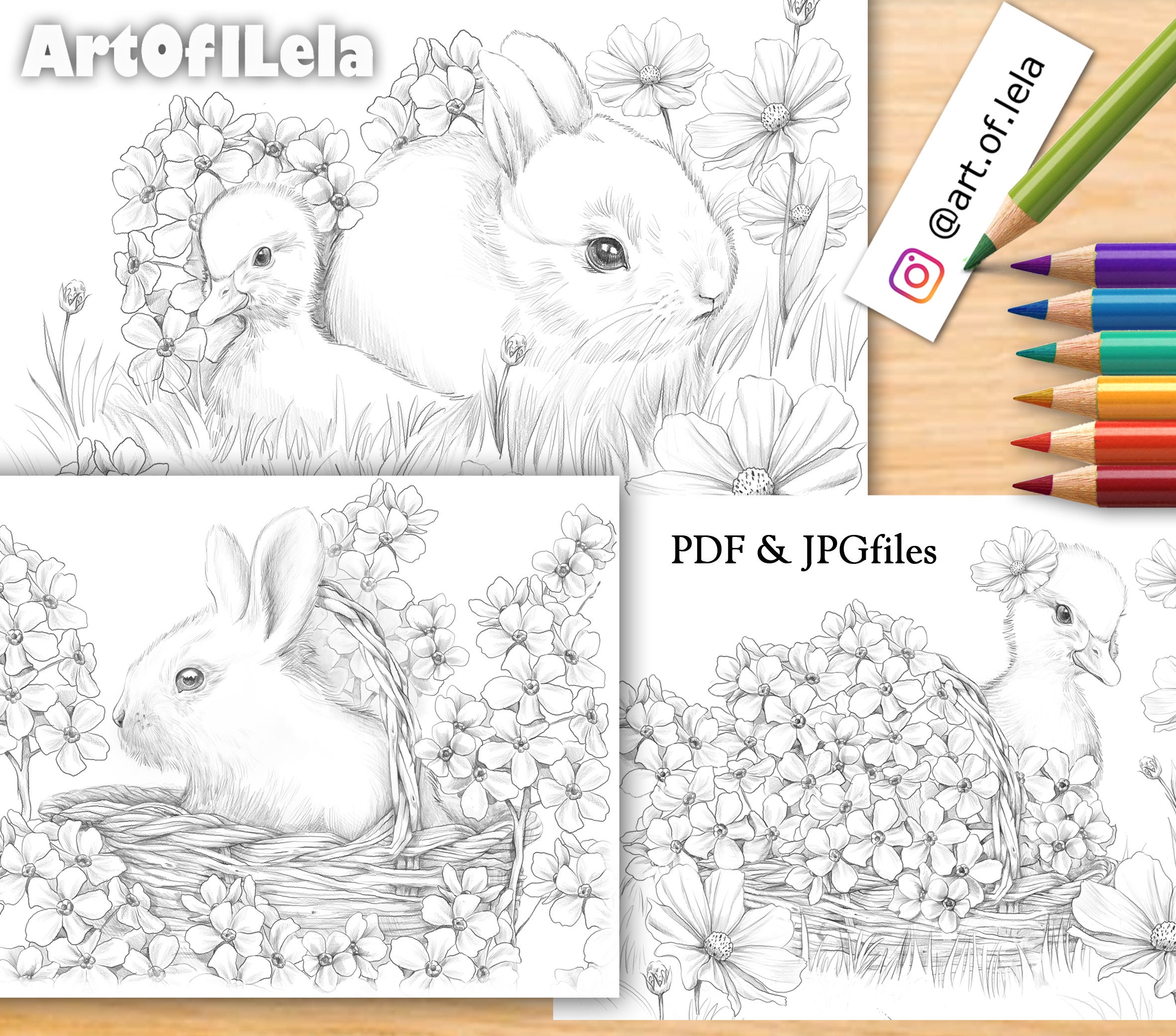 Collection Coloring Page to Download, Printable Adult Coloring Pages ...