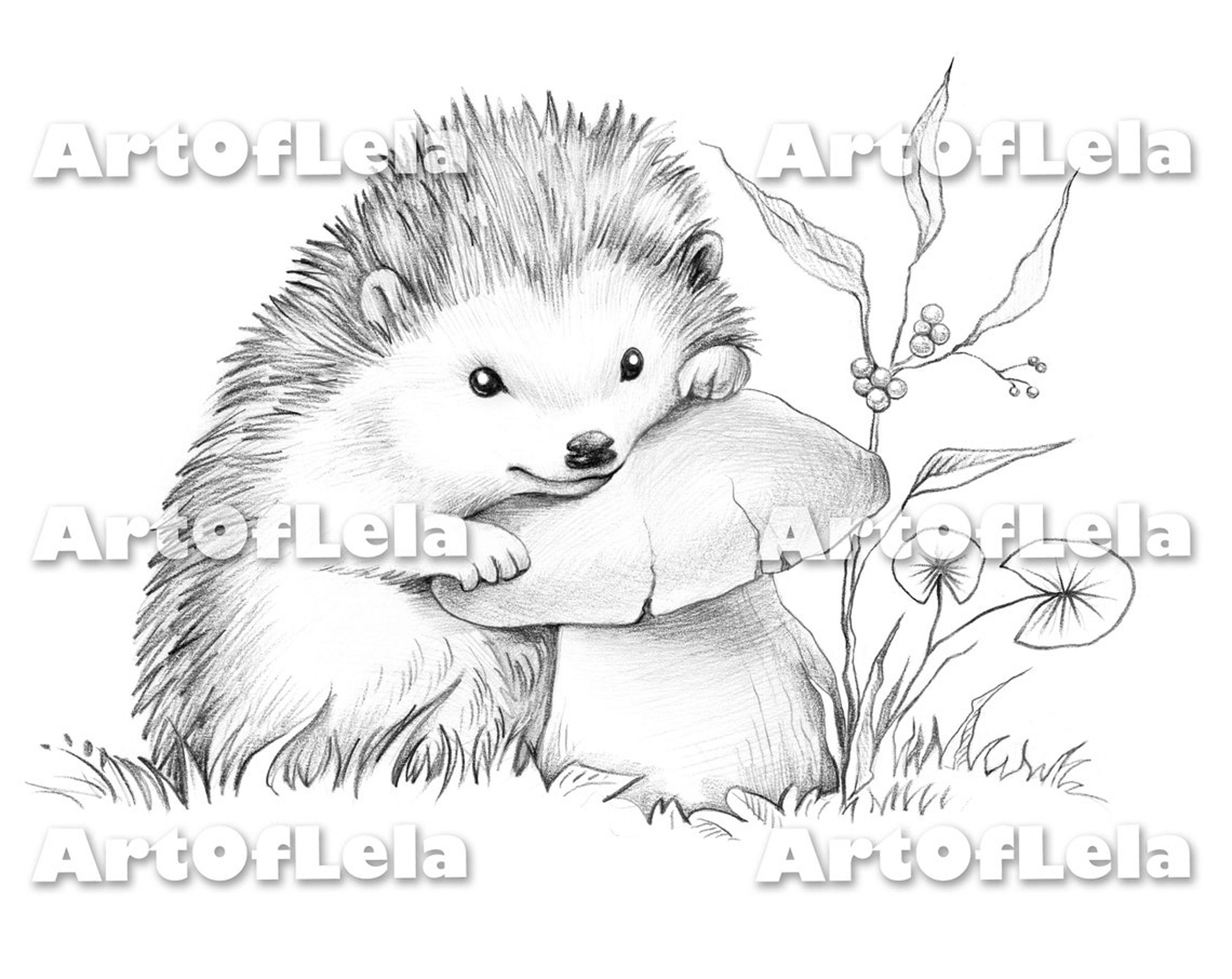 2 Coloring Pages to Download, Printable Adult Coloring Pages, Grayscale ...