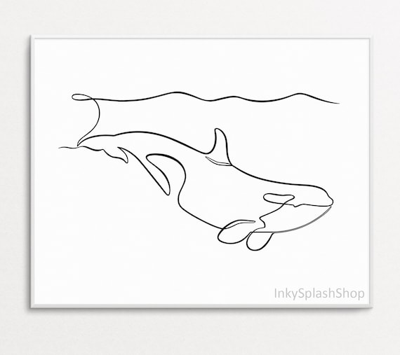 Orca Drawing