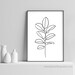 Ficus Elastica One Line Drawing. Rubber Plant Leaves Printable Wall Art ...