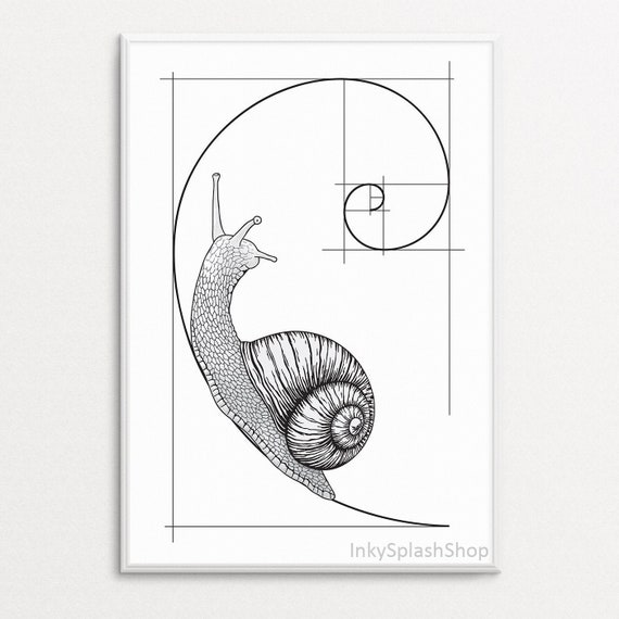 Snail on Fibonacci Spiral Wall Art Printable Golden Ratio | Etsy