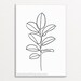 Ficus Elastica One Line Drawing. Rubber Plant Leaves Printable Wall Art ...