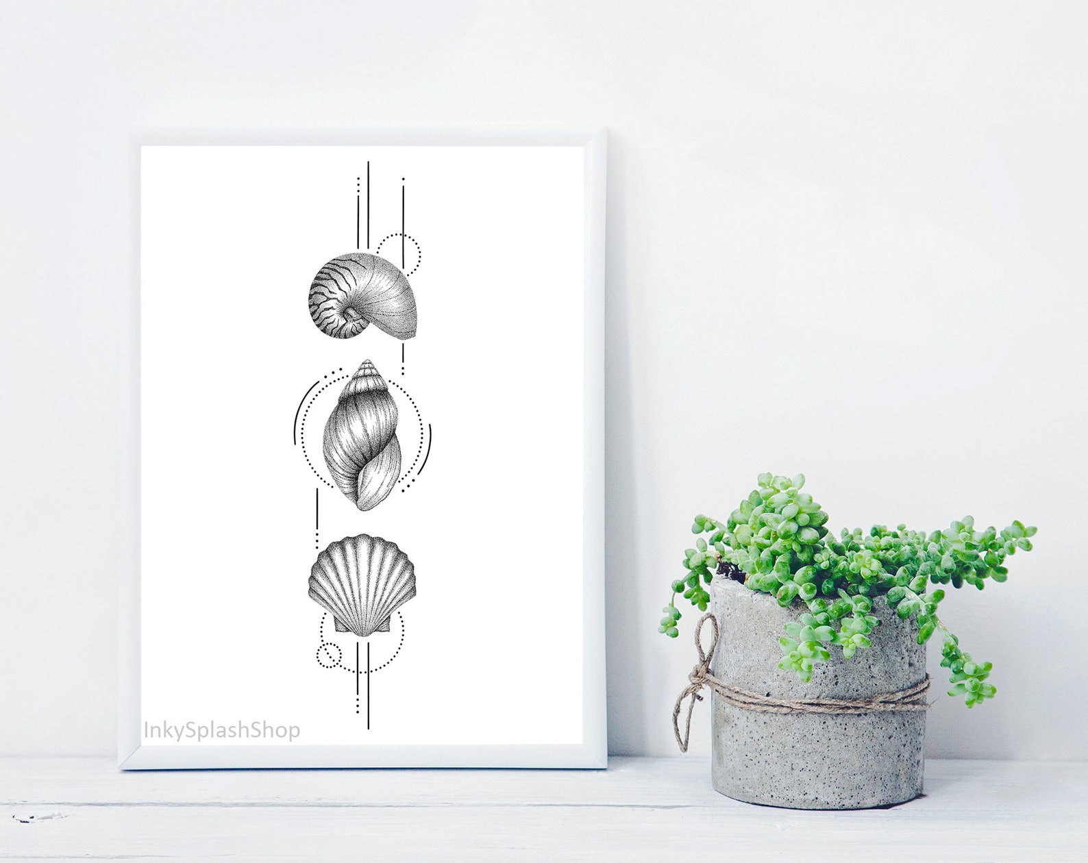 Seashells Geometric Art Printable Nautilus Conch Scallop Shell Drawing ...