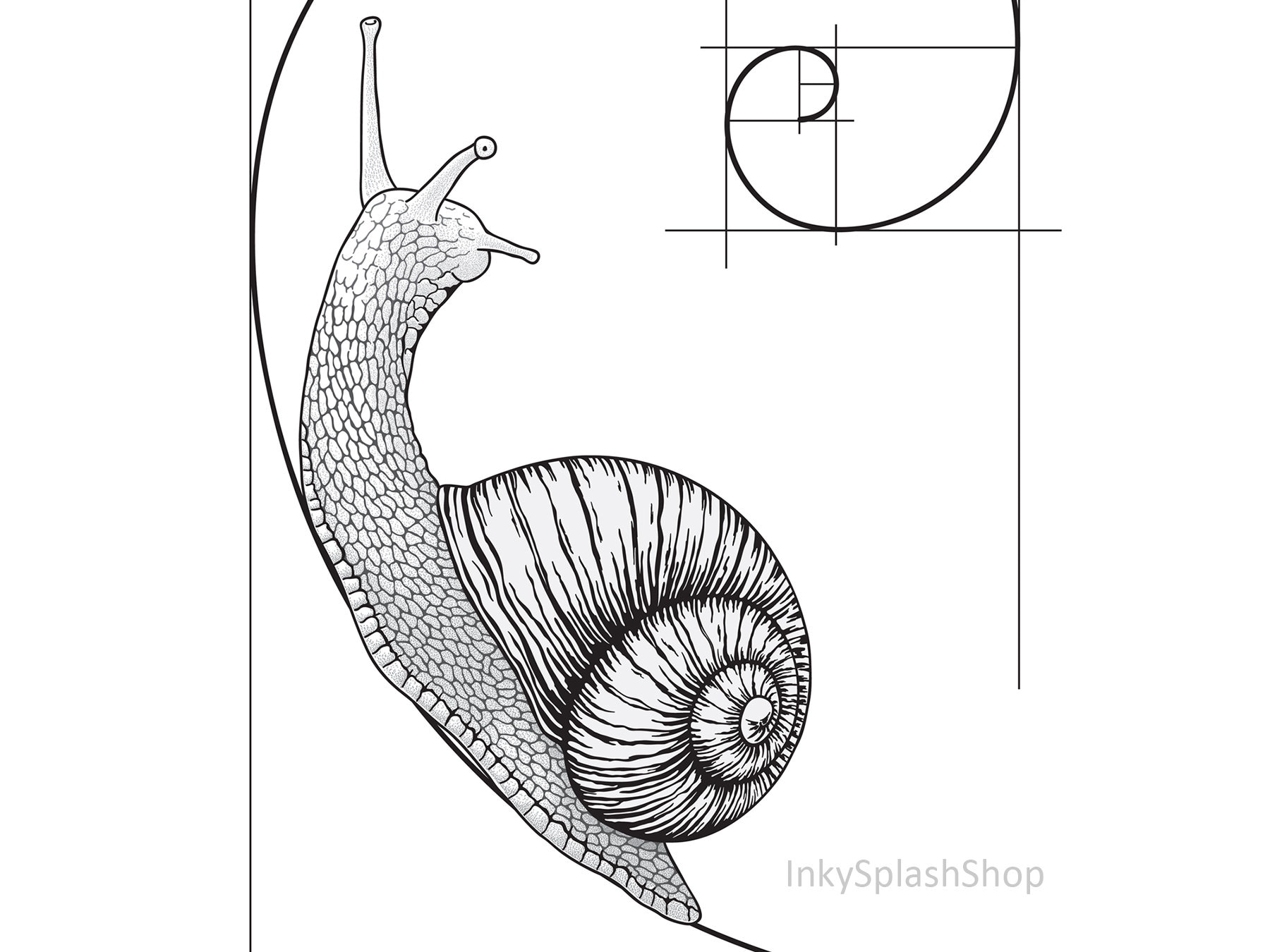 Snail on Fibonacci spiral wall art printable Golden ratio | Etsy