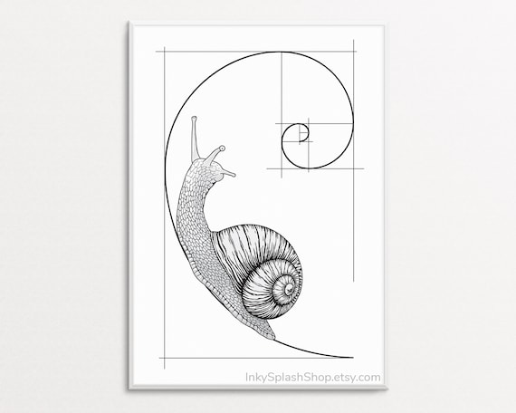 Fibonacci Spiral Art Fibonacci Spiral Art