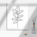 Ficus Elastica One Line Drawing. Rubber Plant Leaves Printable Wall Art ...