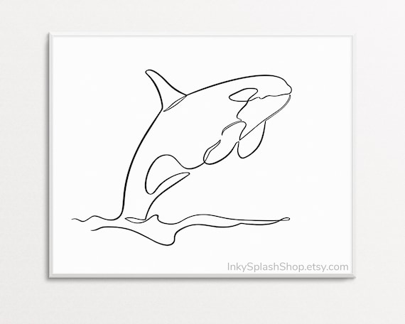 Orca Whale Drawing For Kids